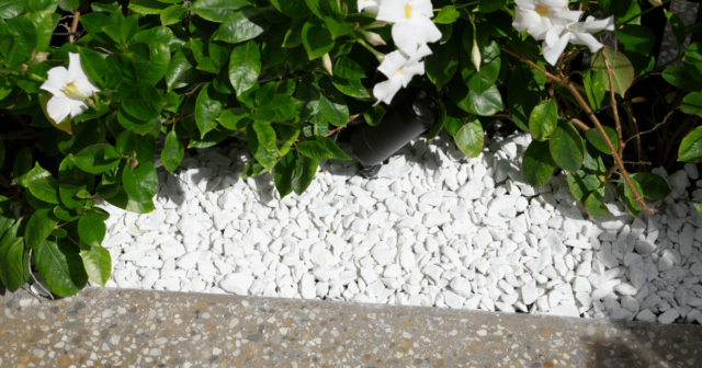 5 Benefits of Cloudy White Decorative Garden Stones